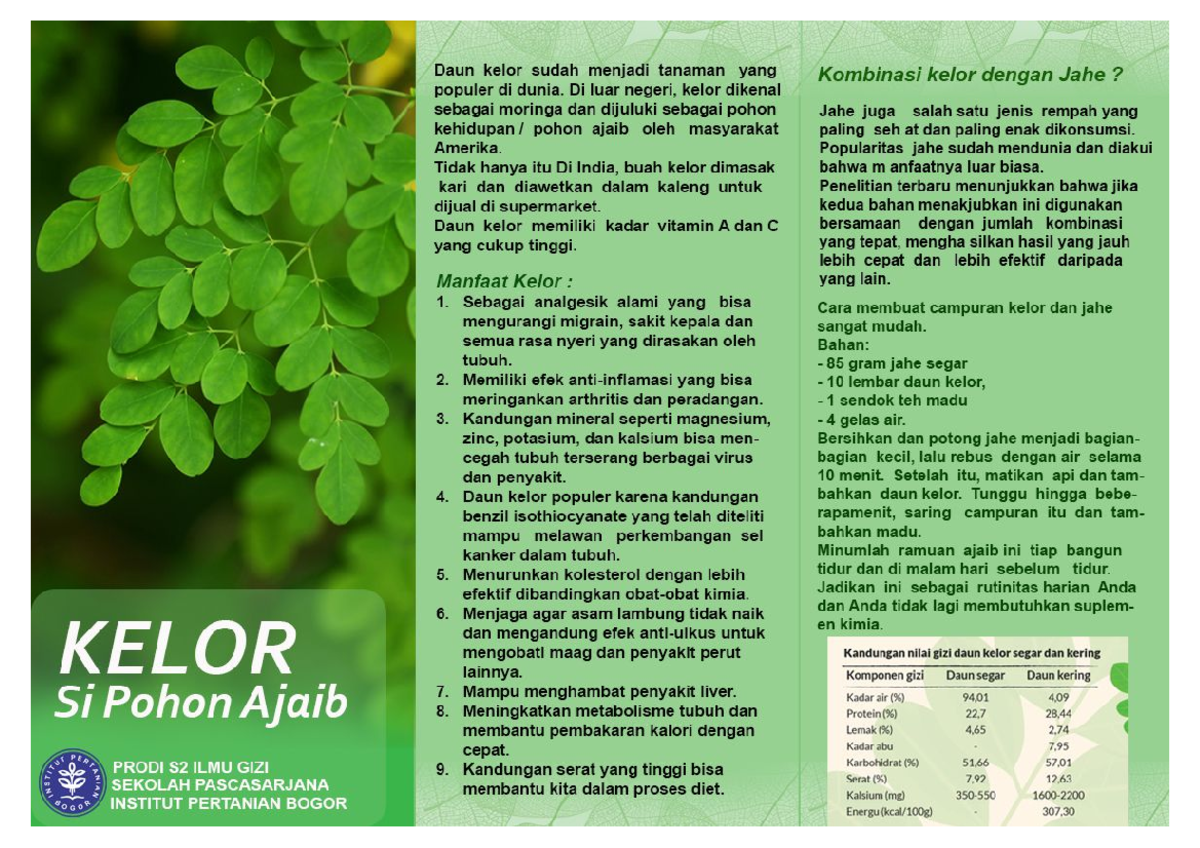 Leaflet DAUN kelor - Pengembangan Produk Pangan Intervensi - Studocu
