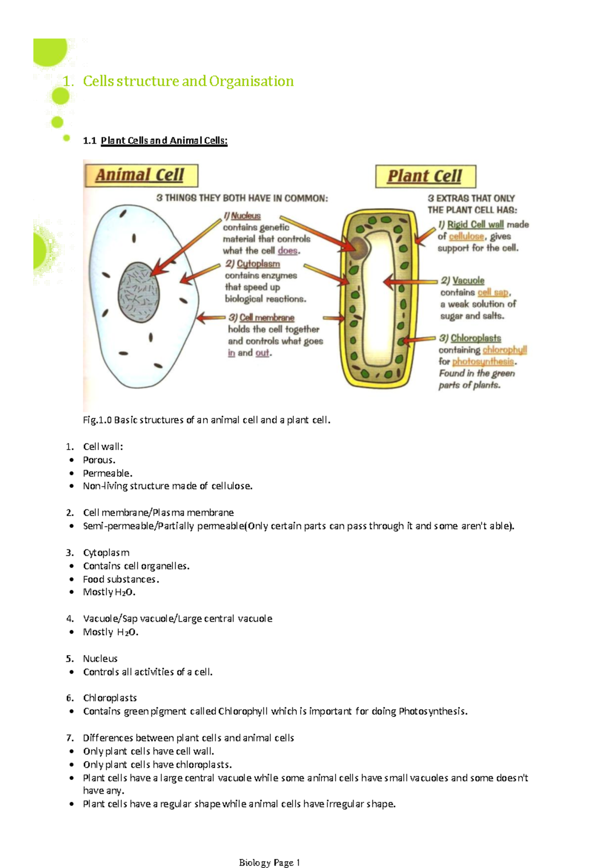 8598629-Biology-notes-for-O-level - Copy - 1 Plant Cells and Animal ...
