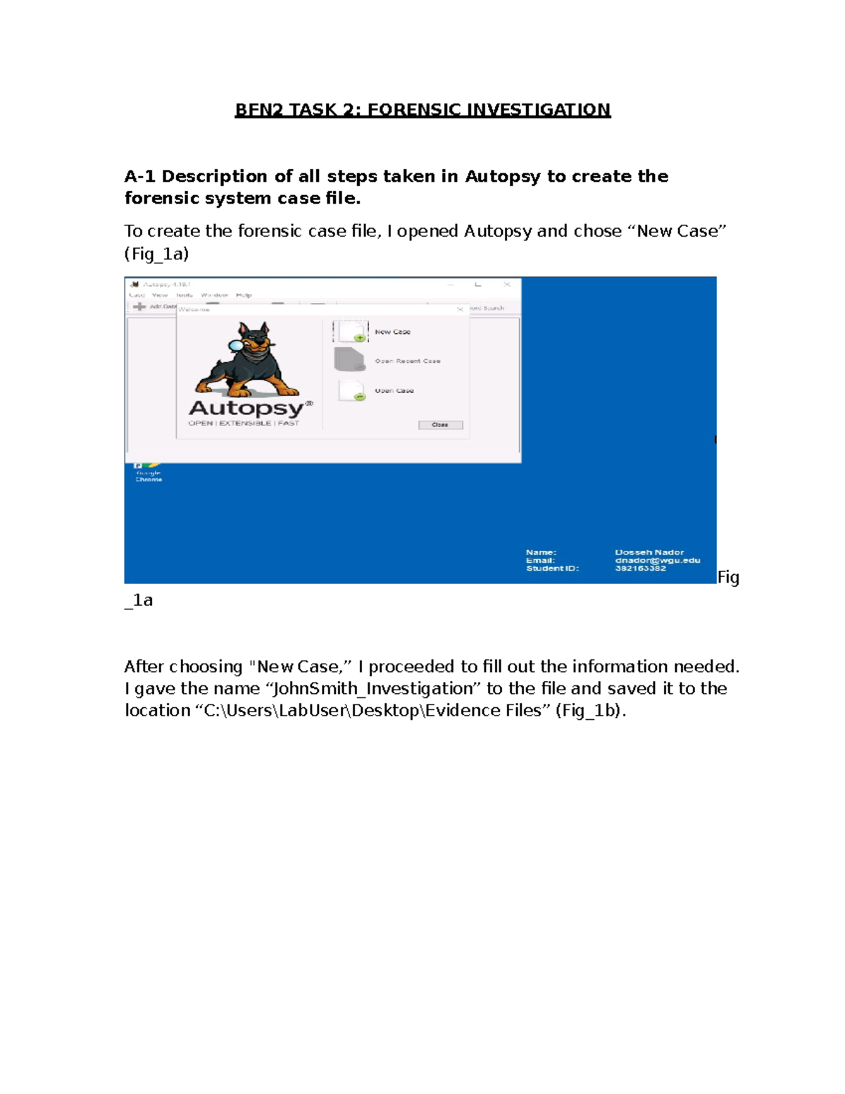 Digital Forensic Task 2 - BFN2 TASK 2: FORENSIC INVESTIGATION A-1 ...