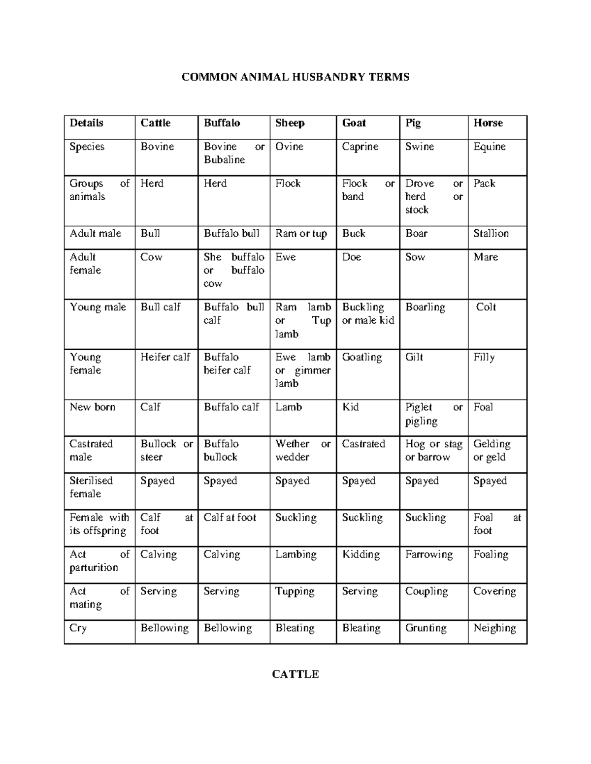 D25 theory class 2 - Lecture 2 - COMMON ANIMAL HUSBANDRY TERMS Details ...