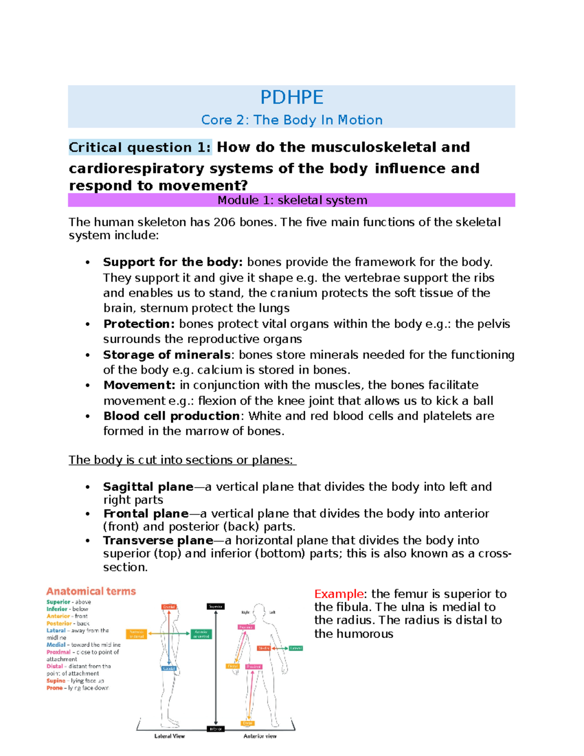 CORE 2 Notes Pdhpe - PDHPE Core 2: The Body In Motion Critical question ...