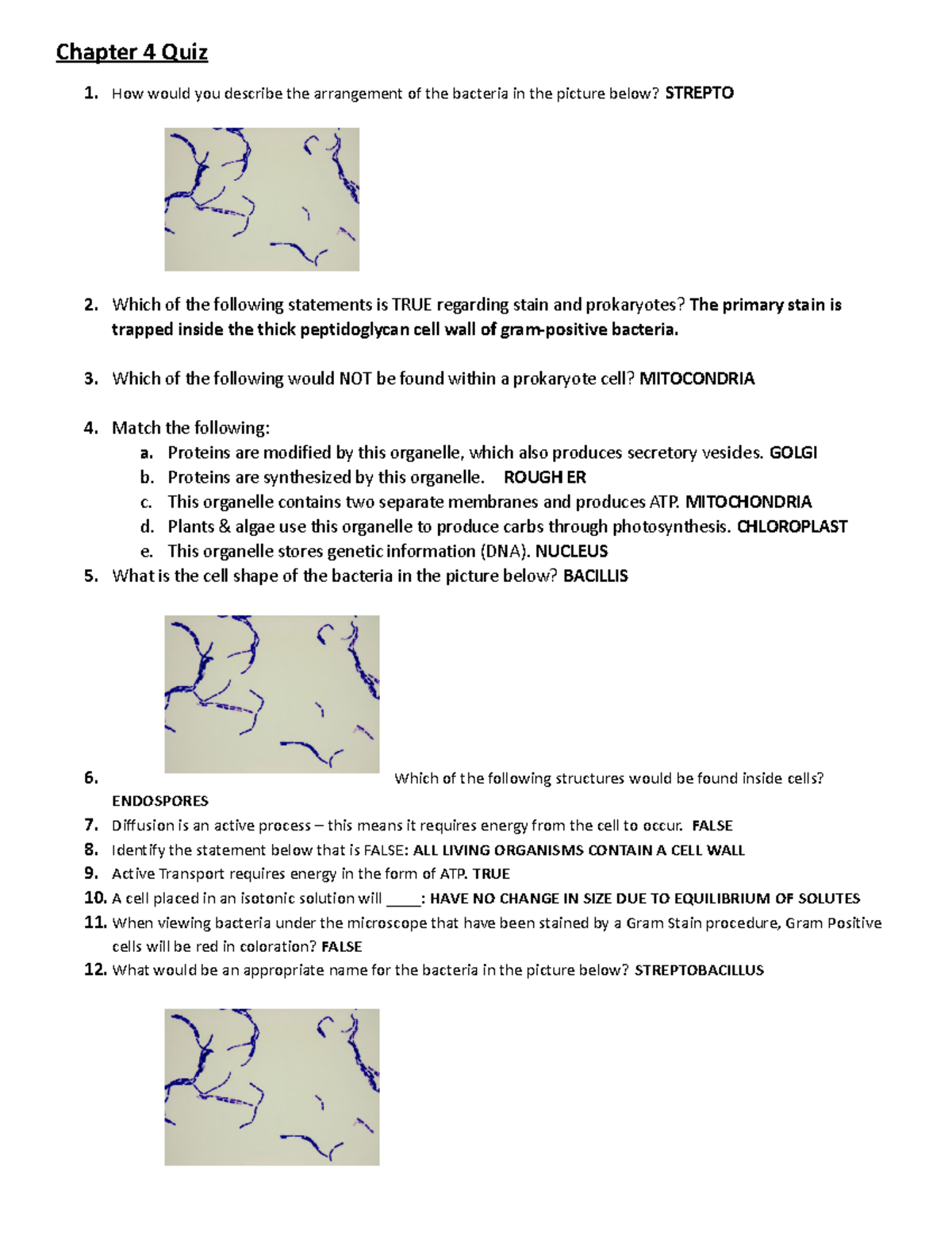 Chapter 4 Quiz - Answers - Chapter 4 Quiz 1. How would you describe the ...