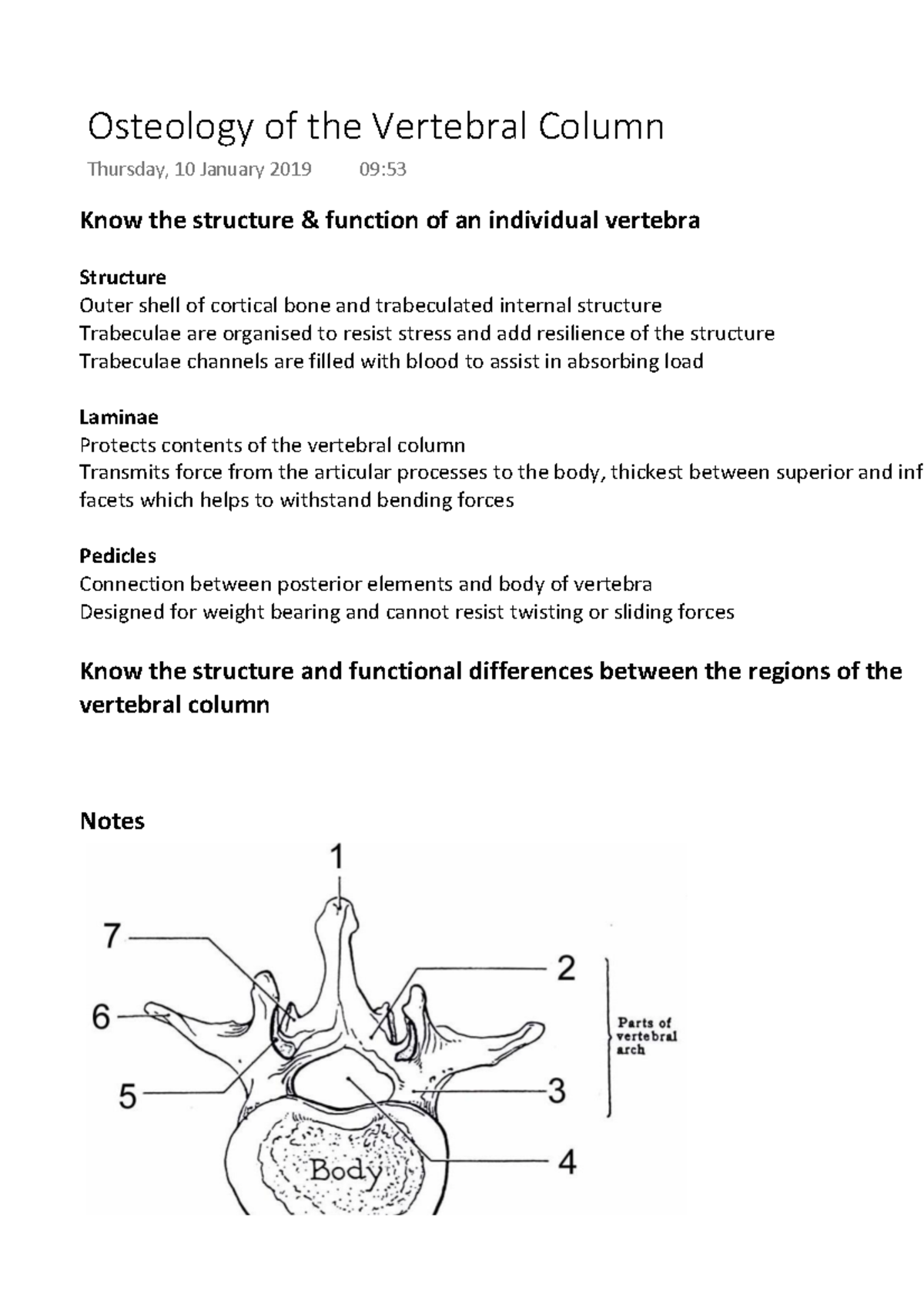 Osteology of the Vertebral Column - Know the structure & function of an ...