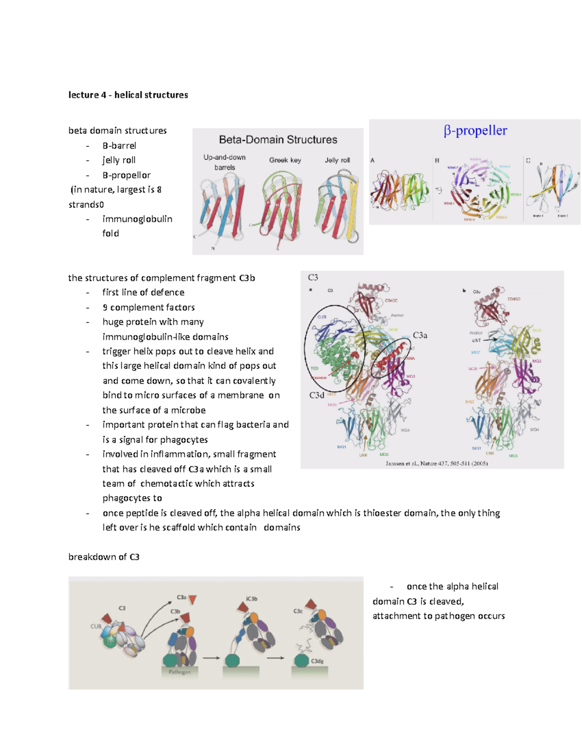 Lecture 4 Helical Structures Lecture 4 Helical Structures Beta Domain Structures B