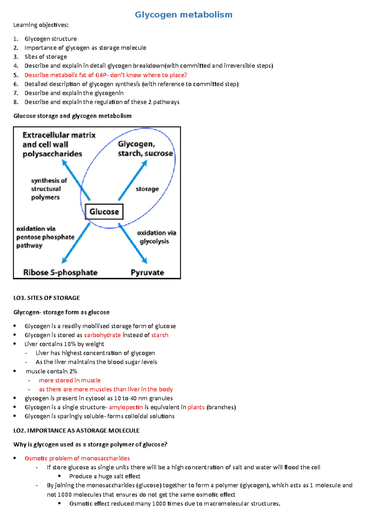 36. Lecture 15 Notes - Glycogen metabolism Learning objecives: Glycogen ...