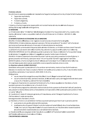 Infermieristica - inf - INFERMIERISTICA Processo di assistenza Il ...