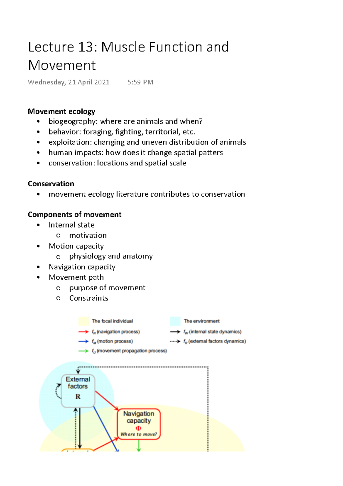 Lecture 13 Muscle Function and Movement - Movement ecology ...