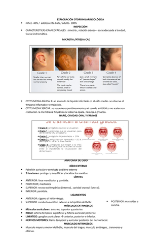 Absceso Periamigdalino - Otorrinolaringlogía - UW - Studocu