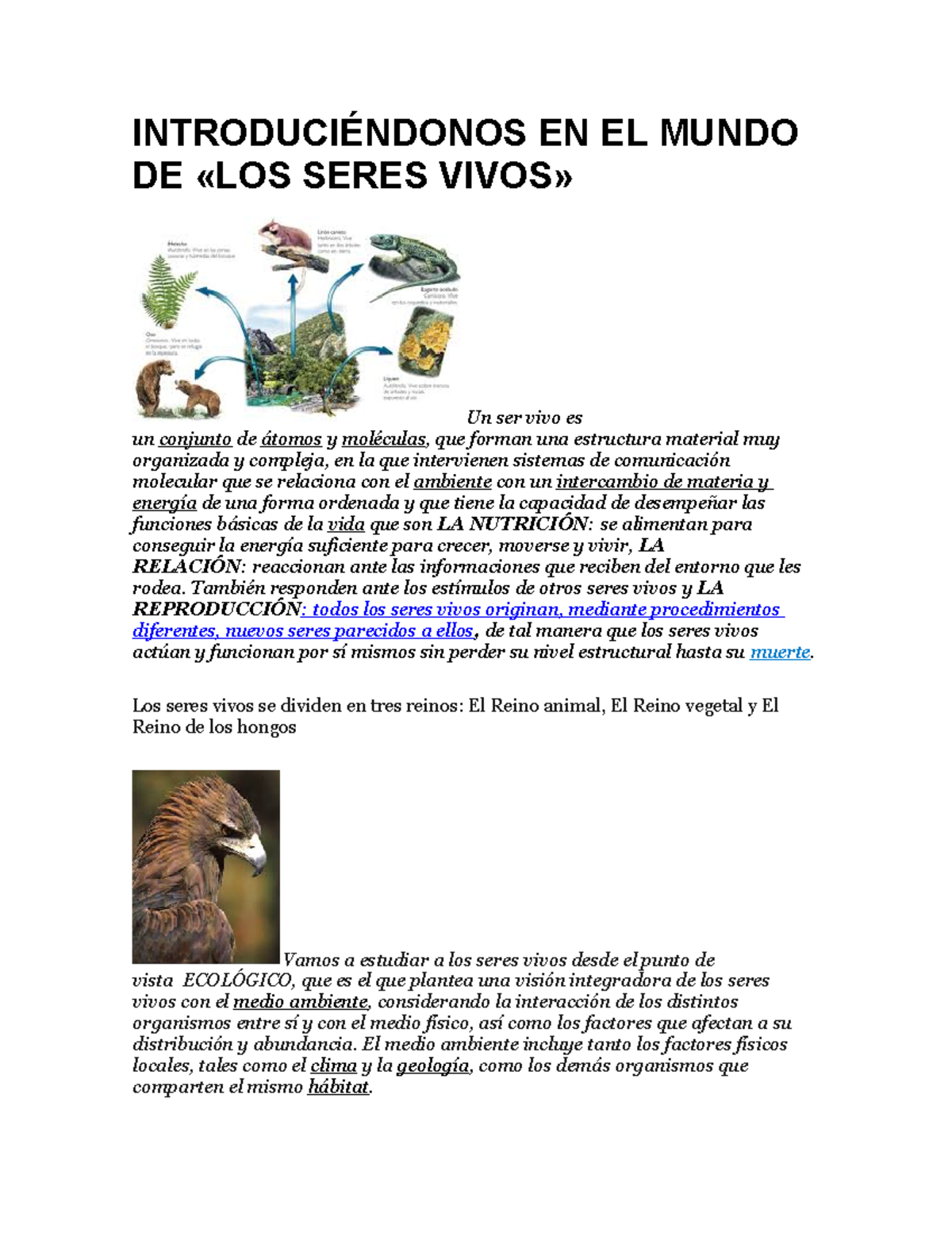 Los seres vivos - INTRODUCIÉNDONOS EN EL MUNDO DE «LOS SERES VIVOS» Un ...