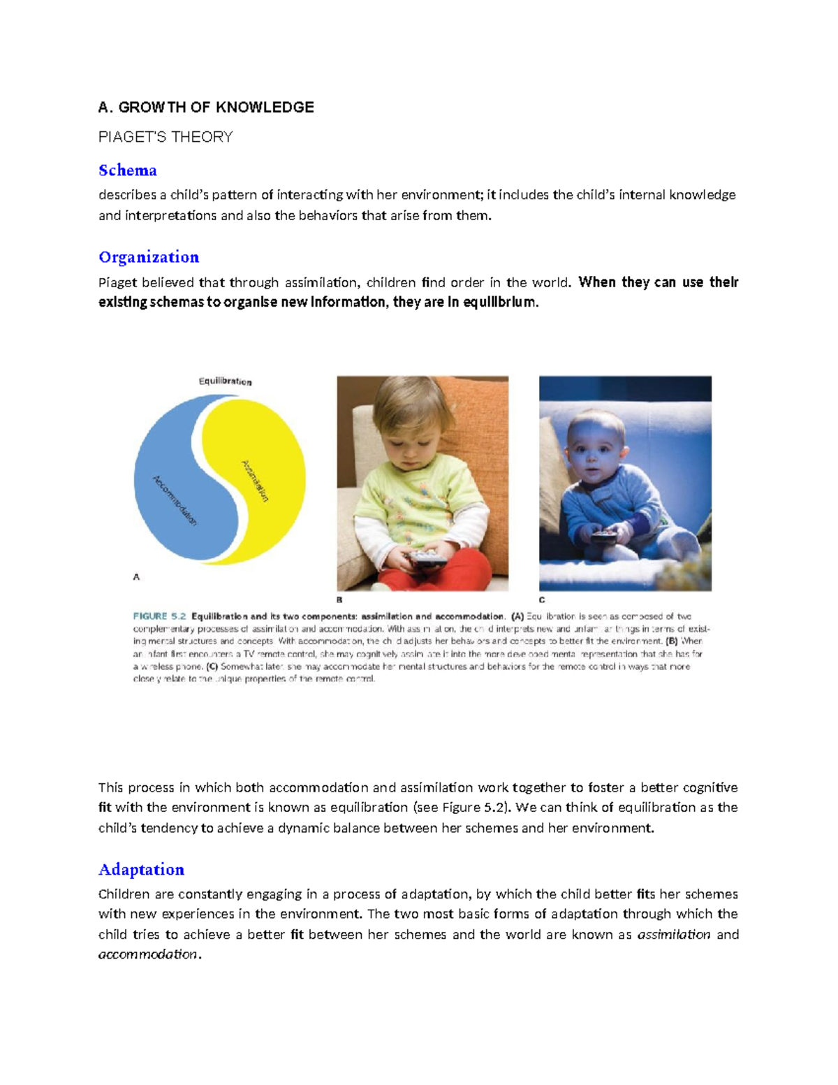 Developmental Psychology - A. GROWTH OF KNOWLEDGE PIAGET’S THEORY ...