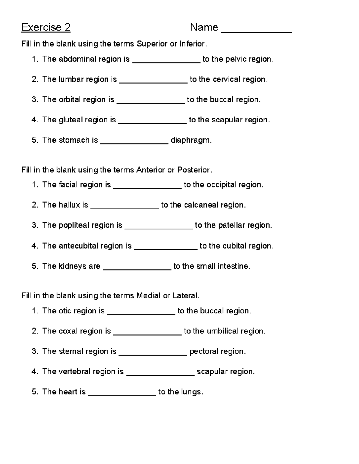 Worksheet (Exercise 2) - Exercise 2 Name ____________ Fill in the blank ...