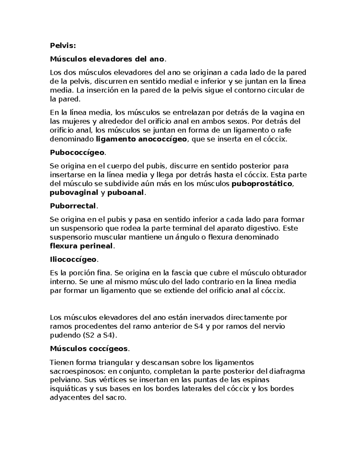 AT3P - Pelvis: Músculos elevadores del ano. Los dos músculos elevadores ...