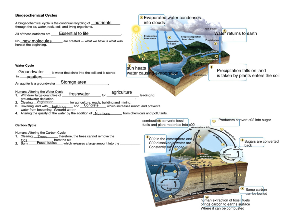 Biogoechemical Cycles -1 - Biogeochemical Cycles 2 Evaporated water ...