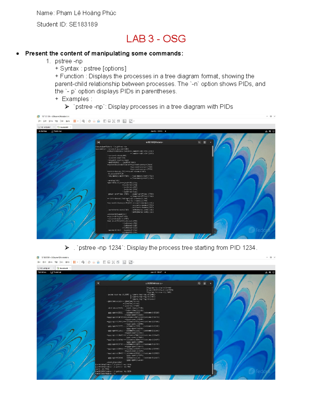 LAB 3 - OSG - HAD - Name: Phạm Lê Hoàng Phúc Student ID: SE LAB 3 - OSG Present the content of ...