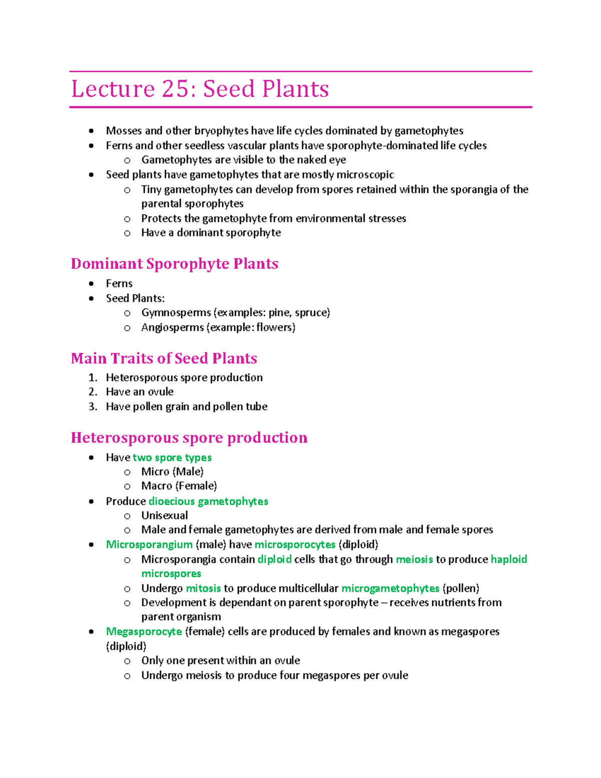 Lecture 25 Seed Plants Warning Tt Undefined Function 32 Warning Tt Undefined Function