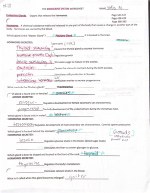 2 Exploration - Geologic Time Scale Station Lab v2 - Print Version ...