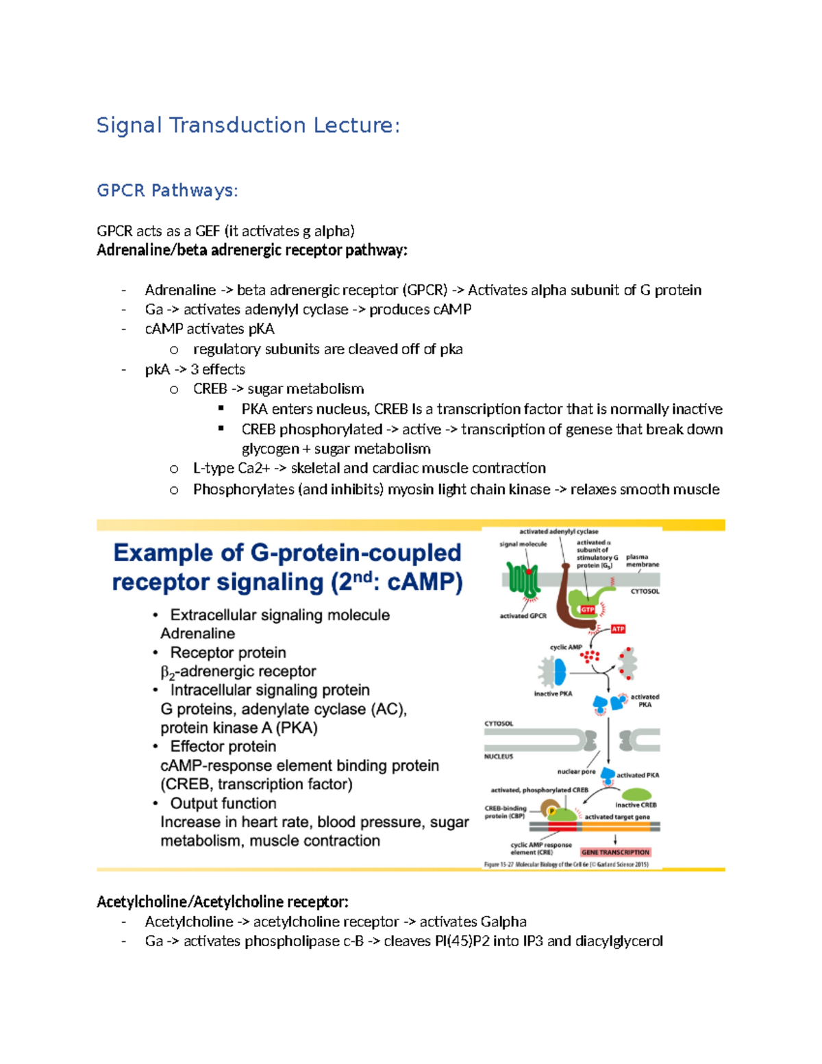 Lectures 8,9 - lecture notes 8 and 9 - Signal Transduction Lecture ...