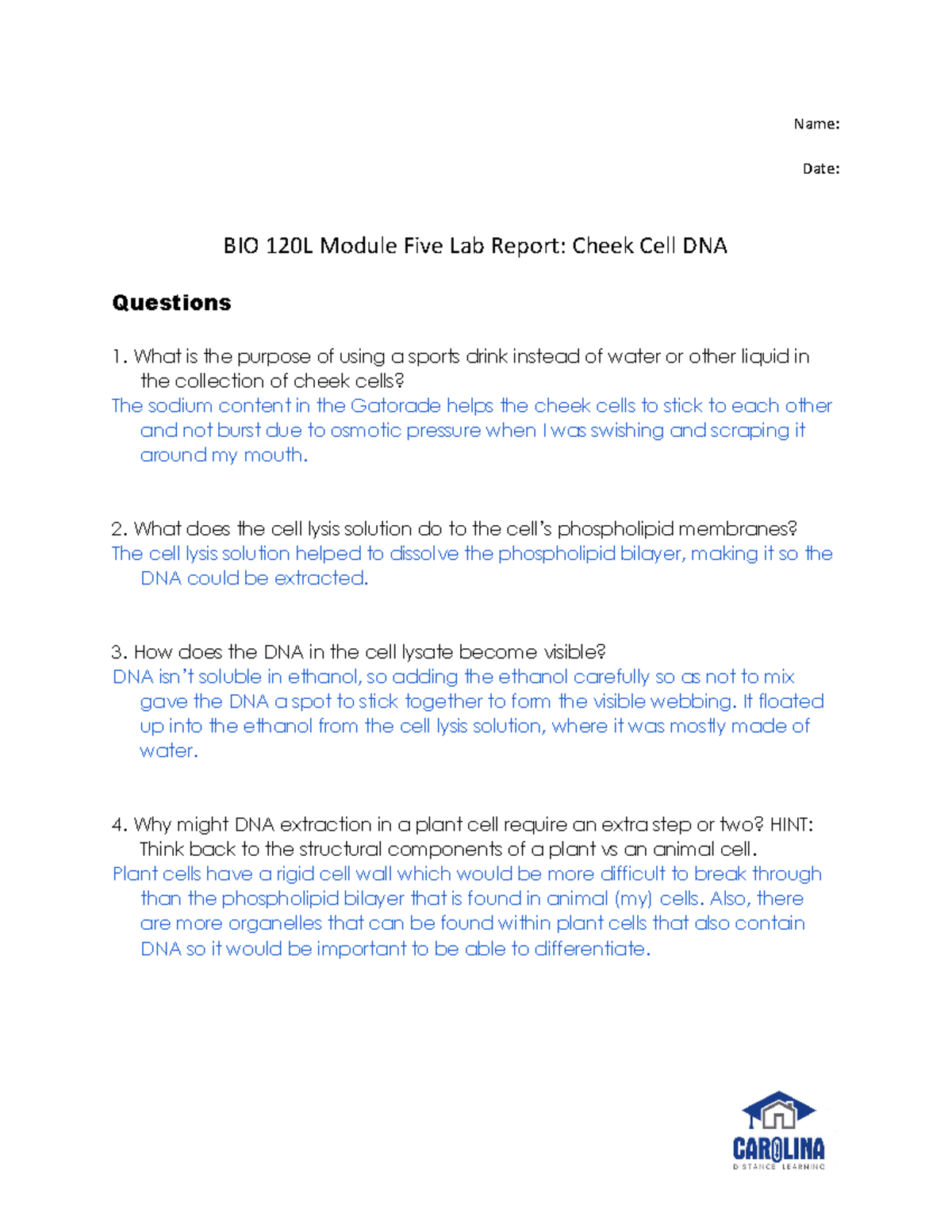 Mod 5 Cheek Cell DNA - Name: Date: BIO 120L Module Five Lab Report ...
