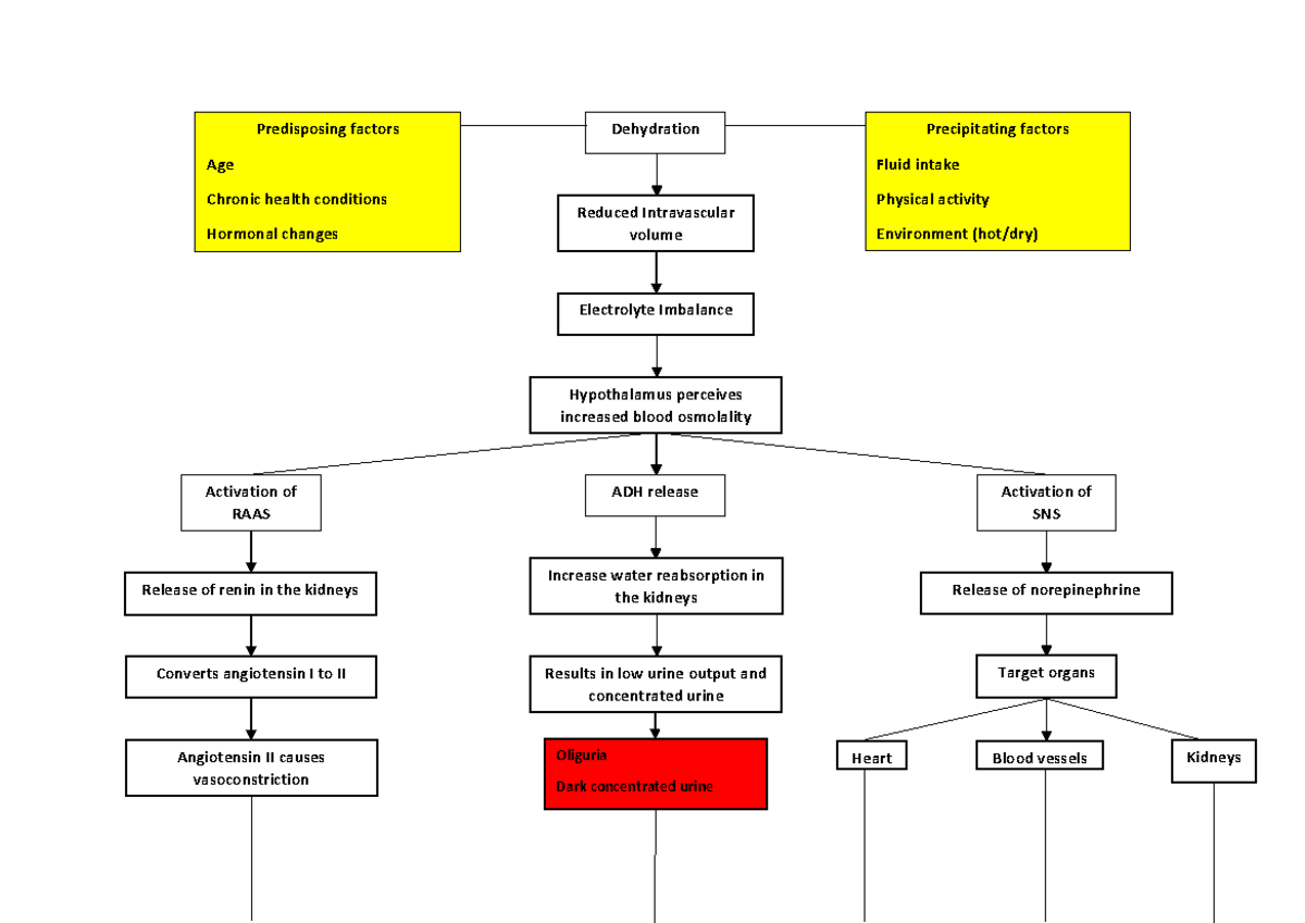 Concept MAP ON Genitourinary Disordder - Dehydration - Dehydration ...