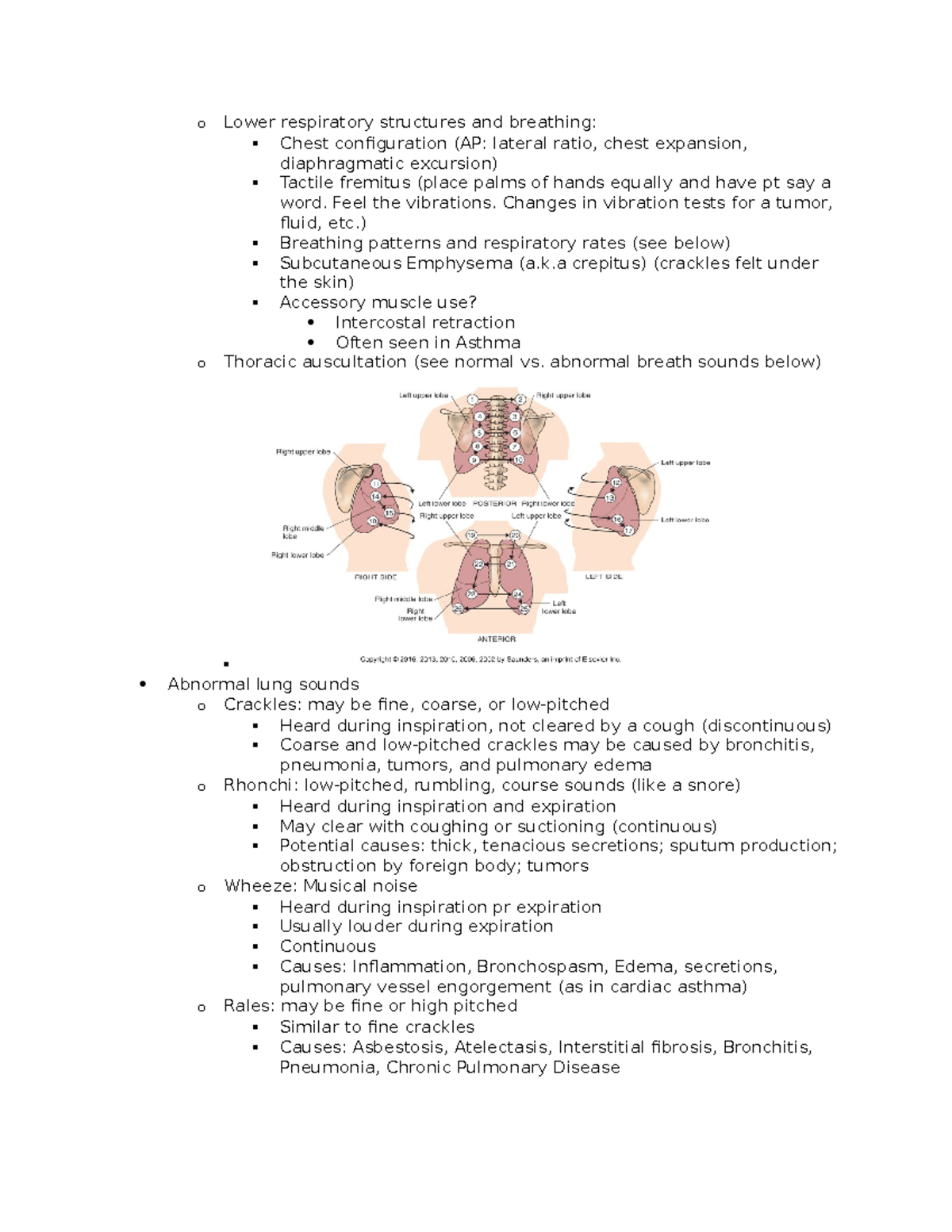 NRSE 3540 Final study guide 19 - o Lower respiratory structures and ...