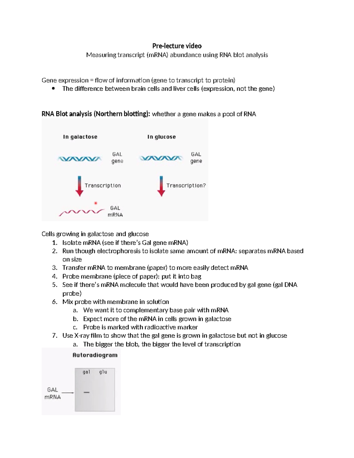 Pre Class 4 Reading Summary For Cycle 2 Class 4 Pre Lecture Video Measuring Transcript Mrna