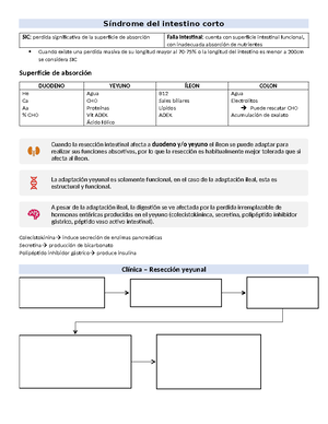 Enfermedad respiratoria - Utilizar la formula de schofield - Pacientes ...