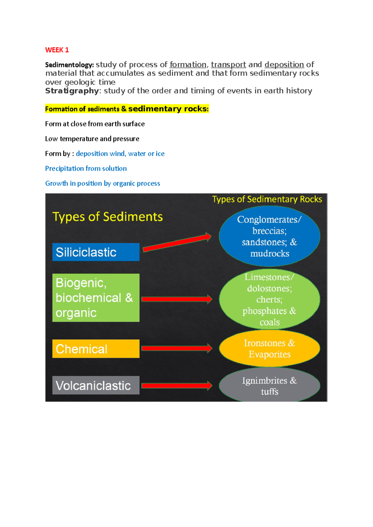 Introduction to Sedimentology Notes - WEEK 1 Sedimentology: study of ...