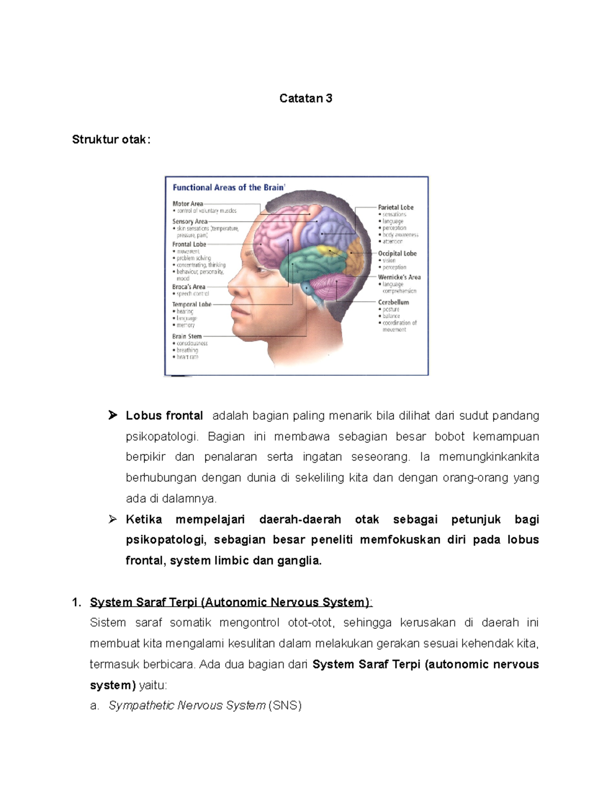 Catatan 3 - Catatan 3 Struktur otak: Lobus frontal adalah bagian paling ...