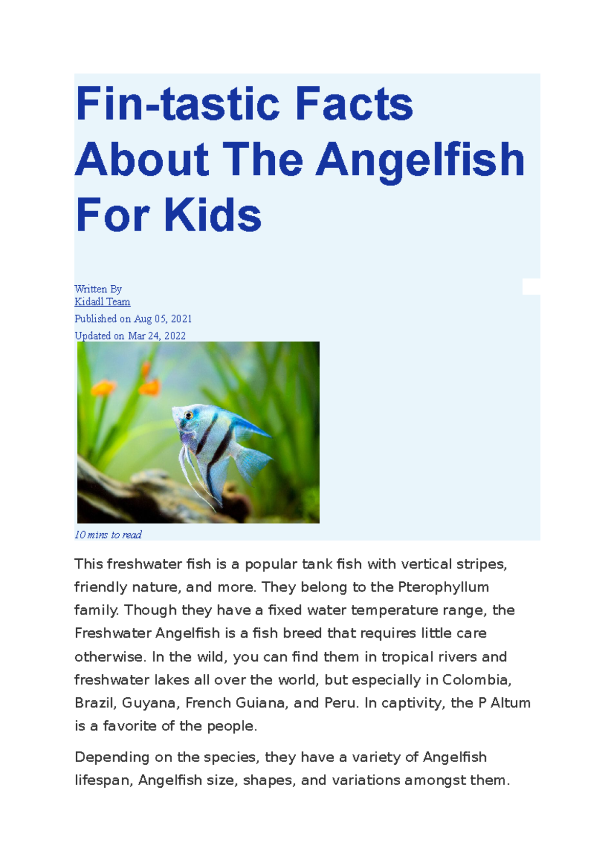 Angel Fish - Biology Drawing - Fin-tastic Facts About The Angelfish For ...