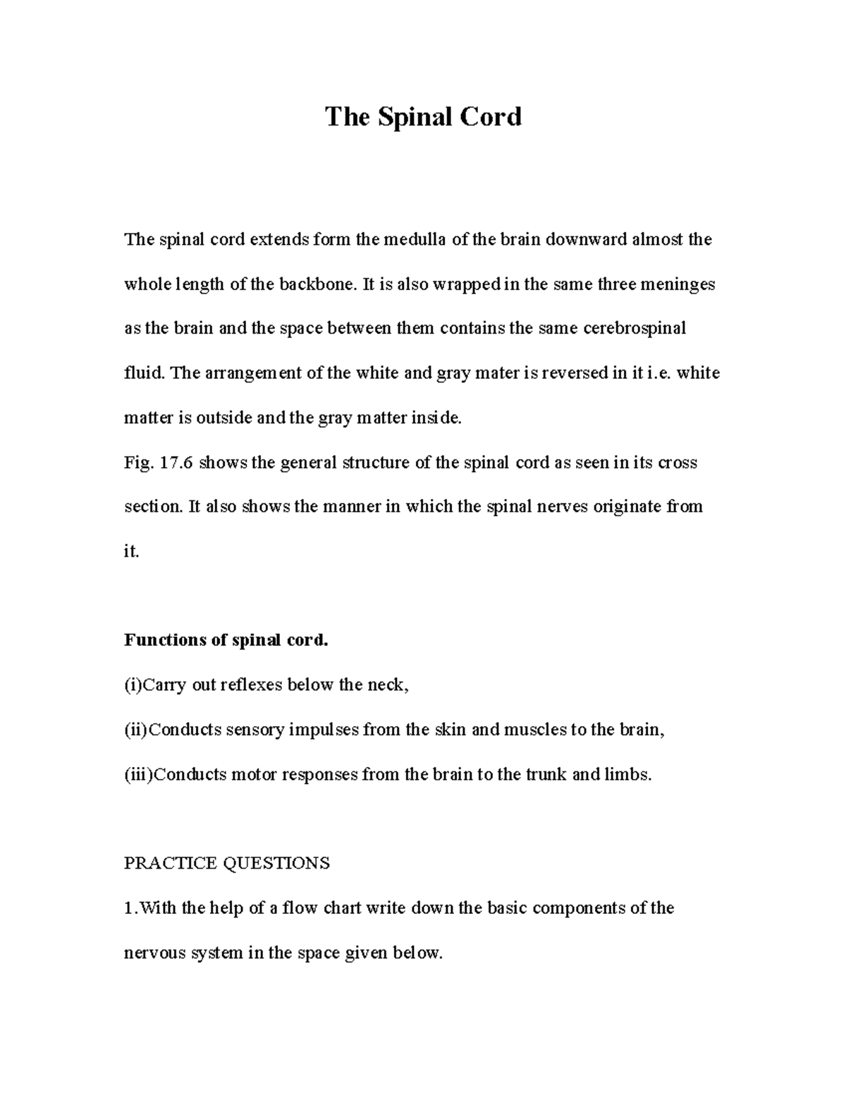 The Spinal Cord Notes - The Spinal Cord The spinal cord extends form ...