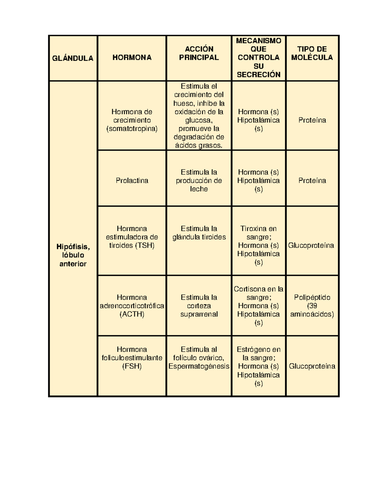 Hormonas cuadro - dhsjdhsjdshjdshjdhsdjsd - GLÁNDULA HORMONA ACCIÓN ...