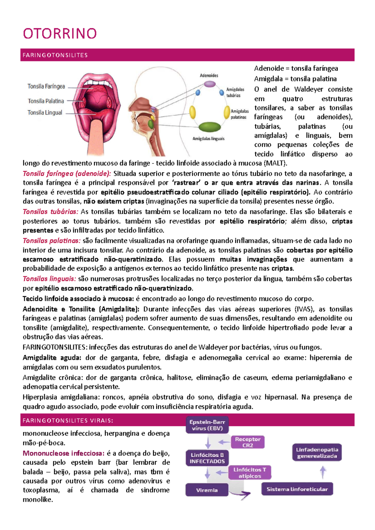 Otorrino - OTORRINO FARINGOTONSILITES Adenoide = tonsila faríngea ...