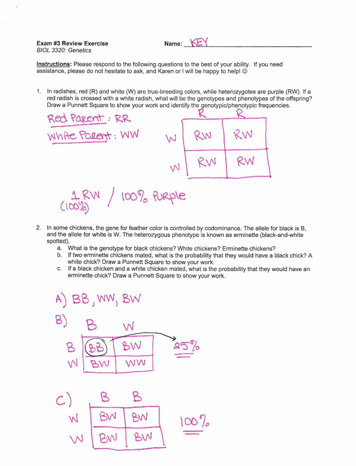 BIOL 3320 - Exam #3 Review Worksheet - KEY - BIOL 3320 - Studocu