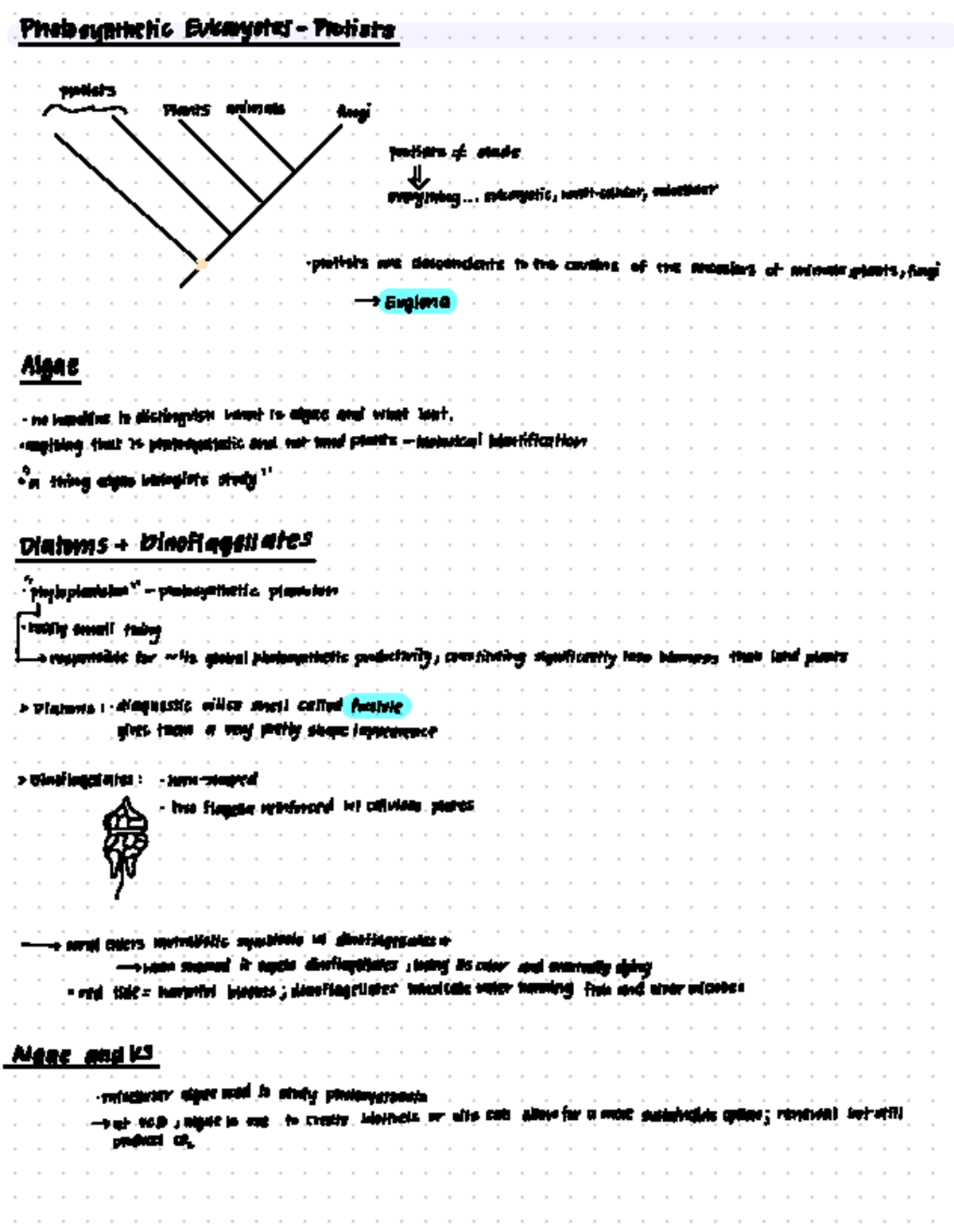Lecture 17-Protists - Simplified Notes on Protists- Algae, Diatoms ...