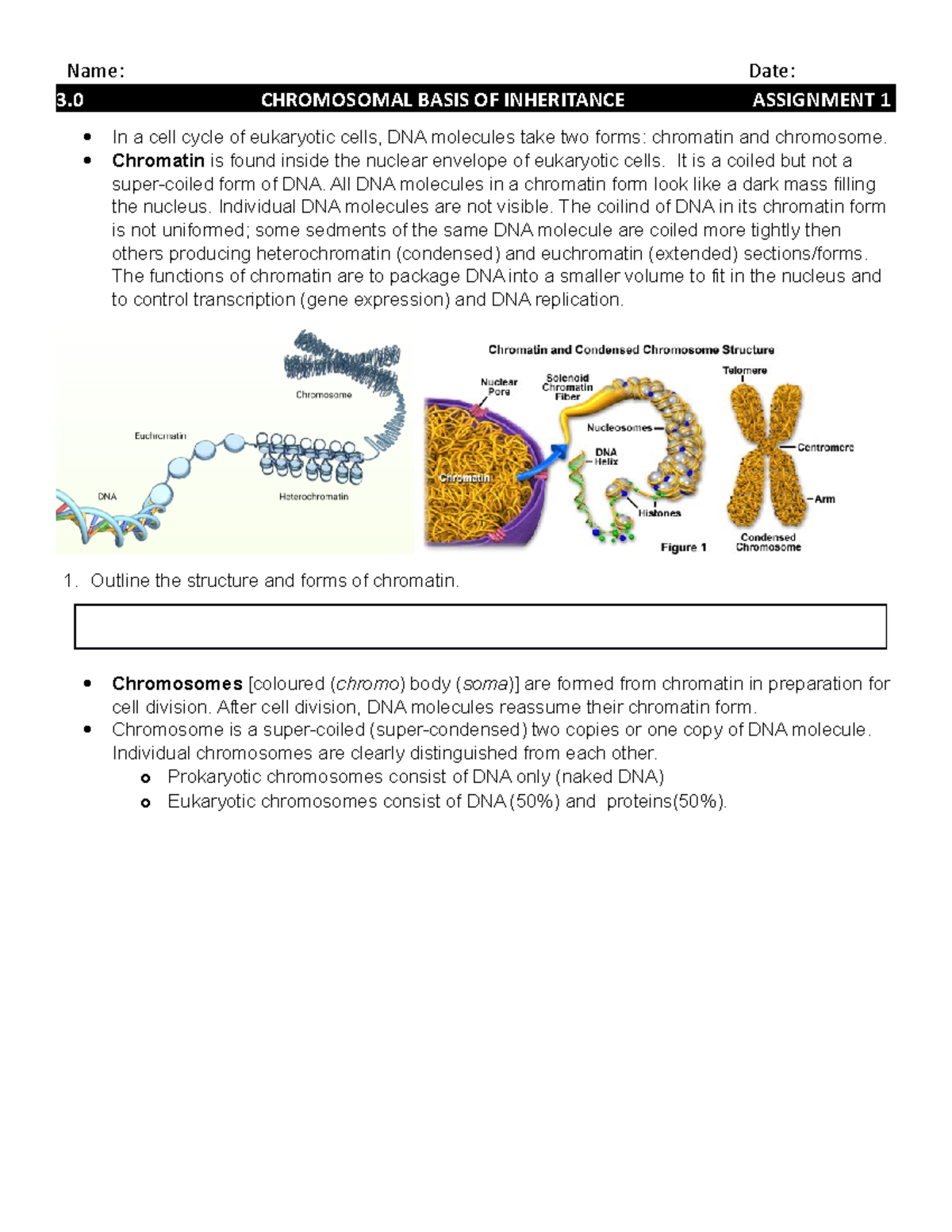 3.0 Chromosomal Basis of Inheritance Assignment 1 - Name: Date: 3 ...