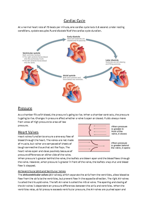 PSW1 worksheet 2021-22 - KCL biochemistry - 4BBY1030 PSW 1: Cell ...