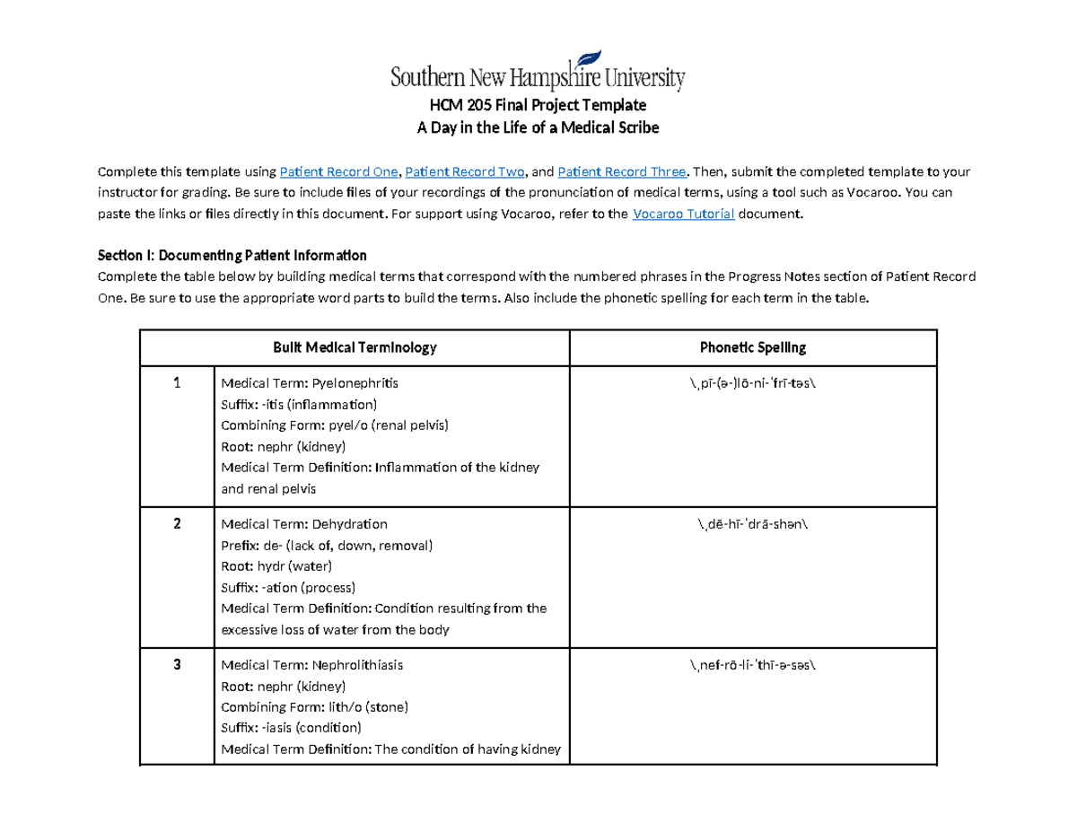 HCM 205 Final Project Template (2) 123 - HCM 205 Final Project Template ...