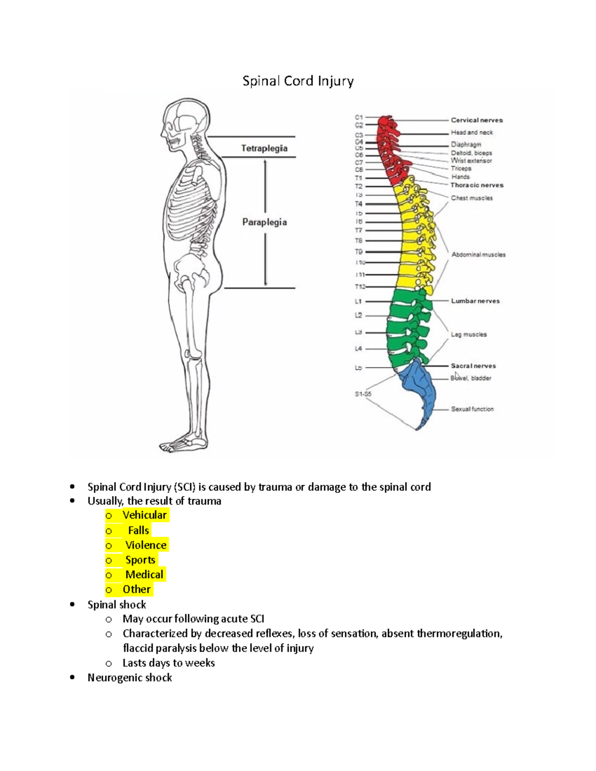 Notes Spinal Cord Injury - Spinal Cord Injury Spinal Cord Injury (SCI ...