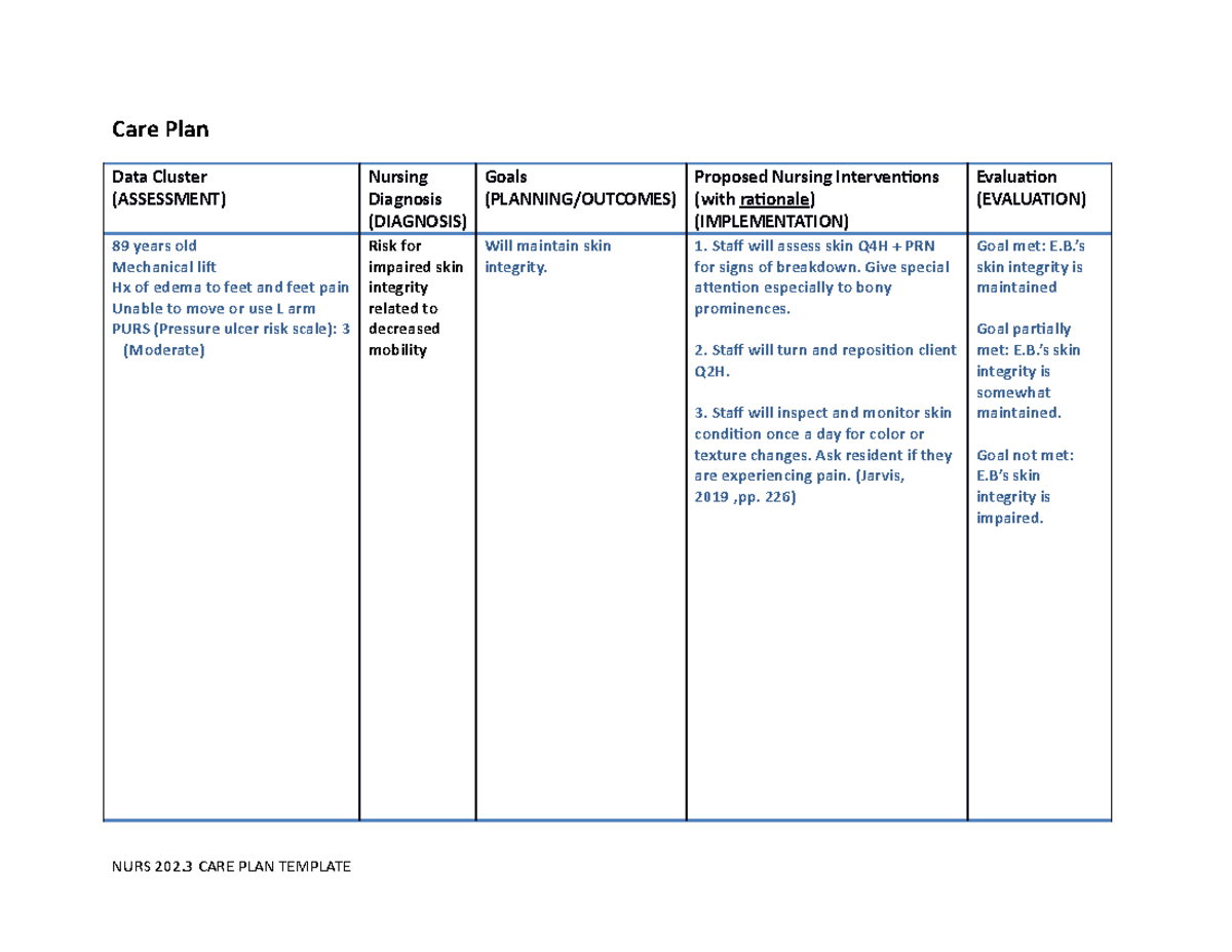 NURS 202 Care Plan Template - Care Plan Data Cluster (ASSESSMENT ...