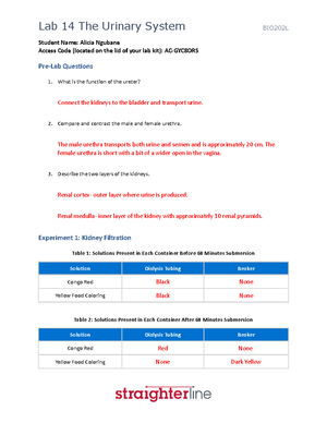 A+P LAB 12 - Straighterline A+P II Live Labs - Student Name: Alicia Ngubane Access Code (located ...