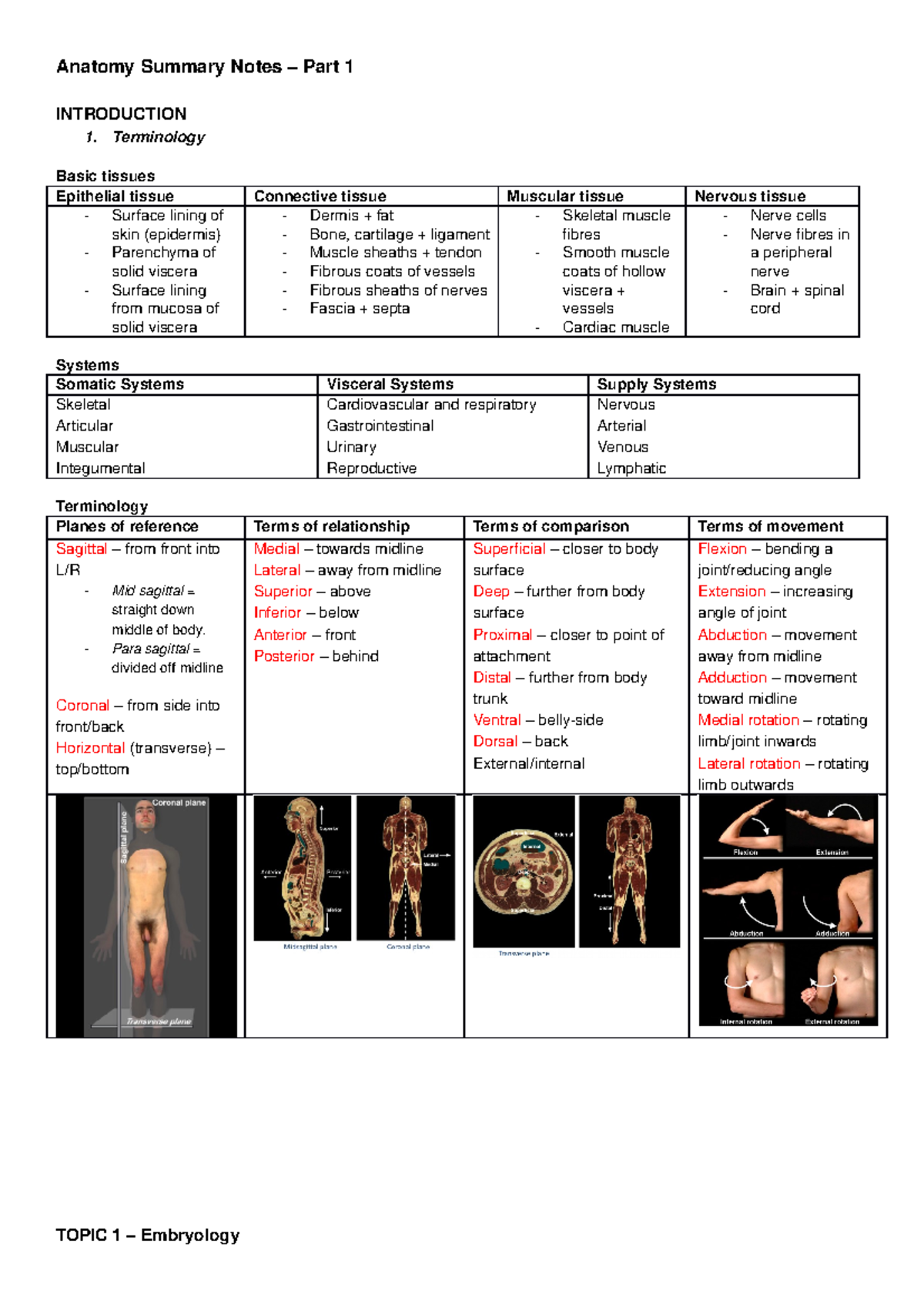 Anatomy Summary Notes MST1 - Anatomy Summary Notes – Part 1 ...