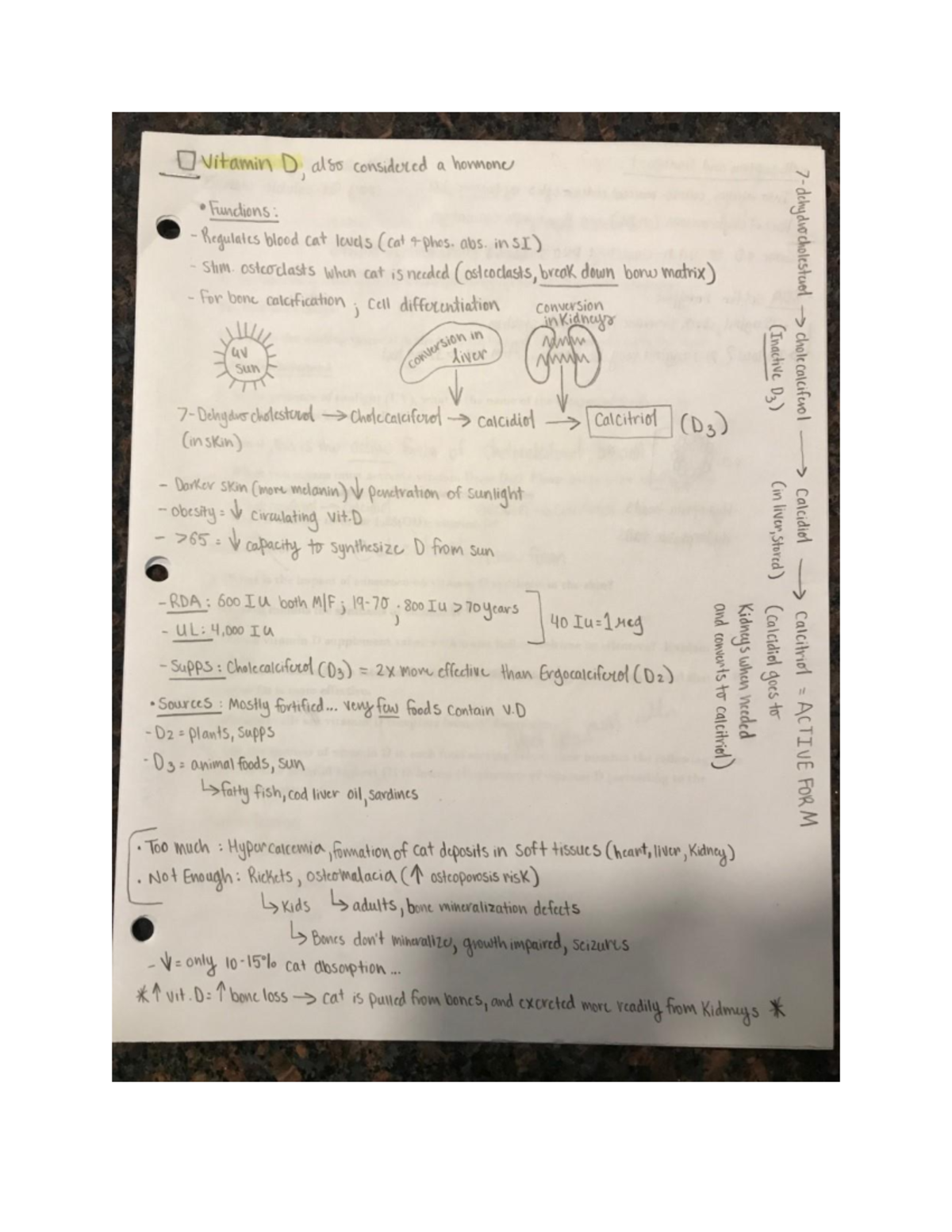NTD 381 Vitamin D Written Notes - NTD 381 - Studocu