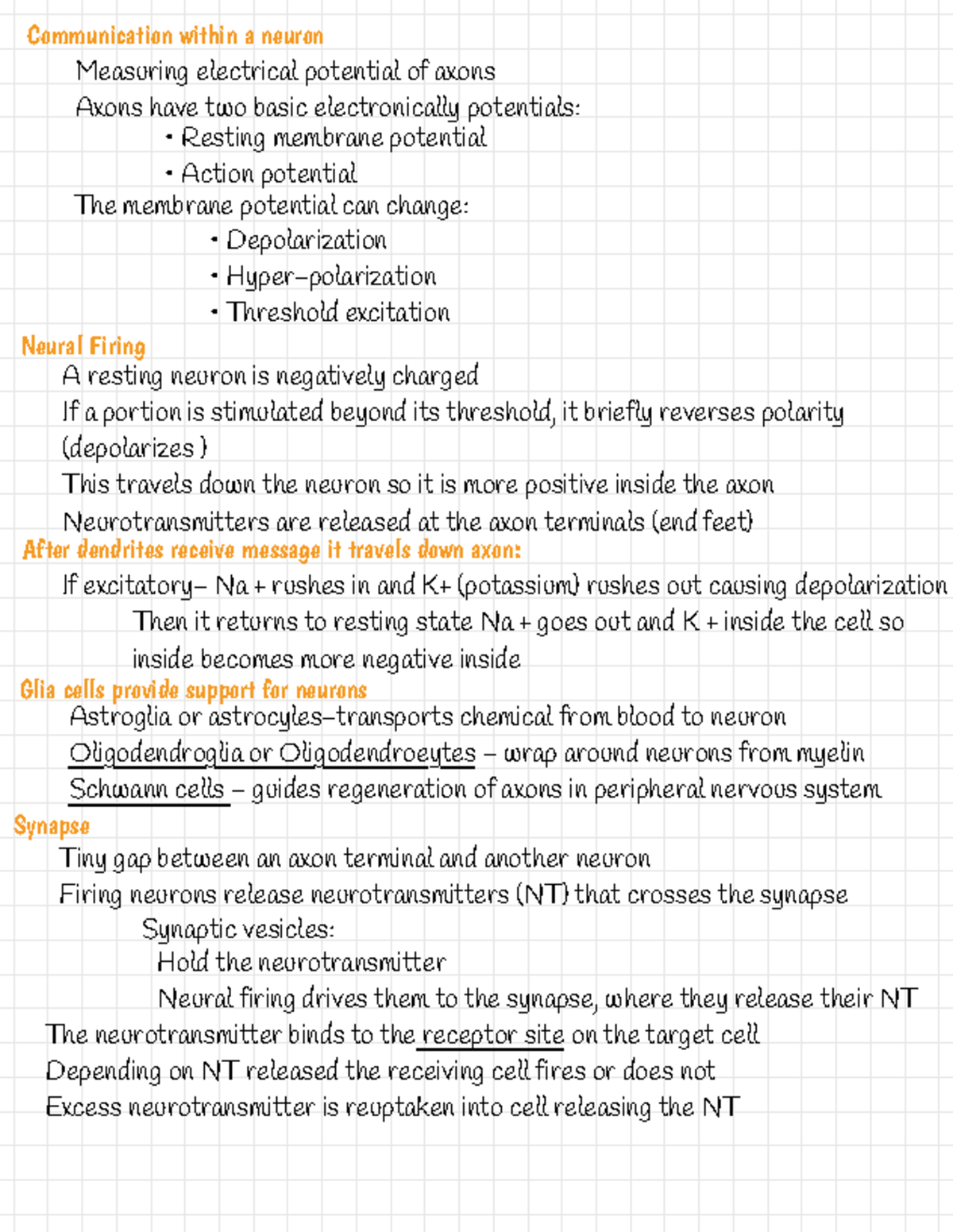 The Brain Is Composed of Billion of Neurons 3 - Communication within a ...