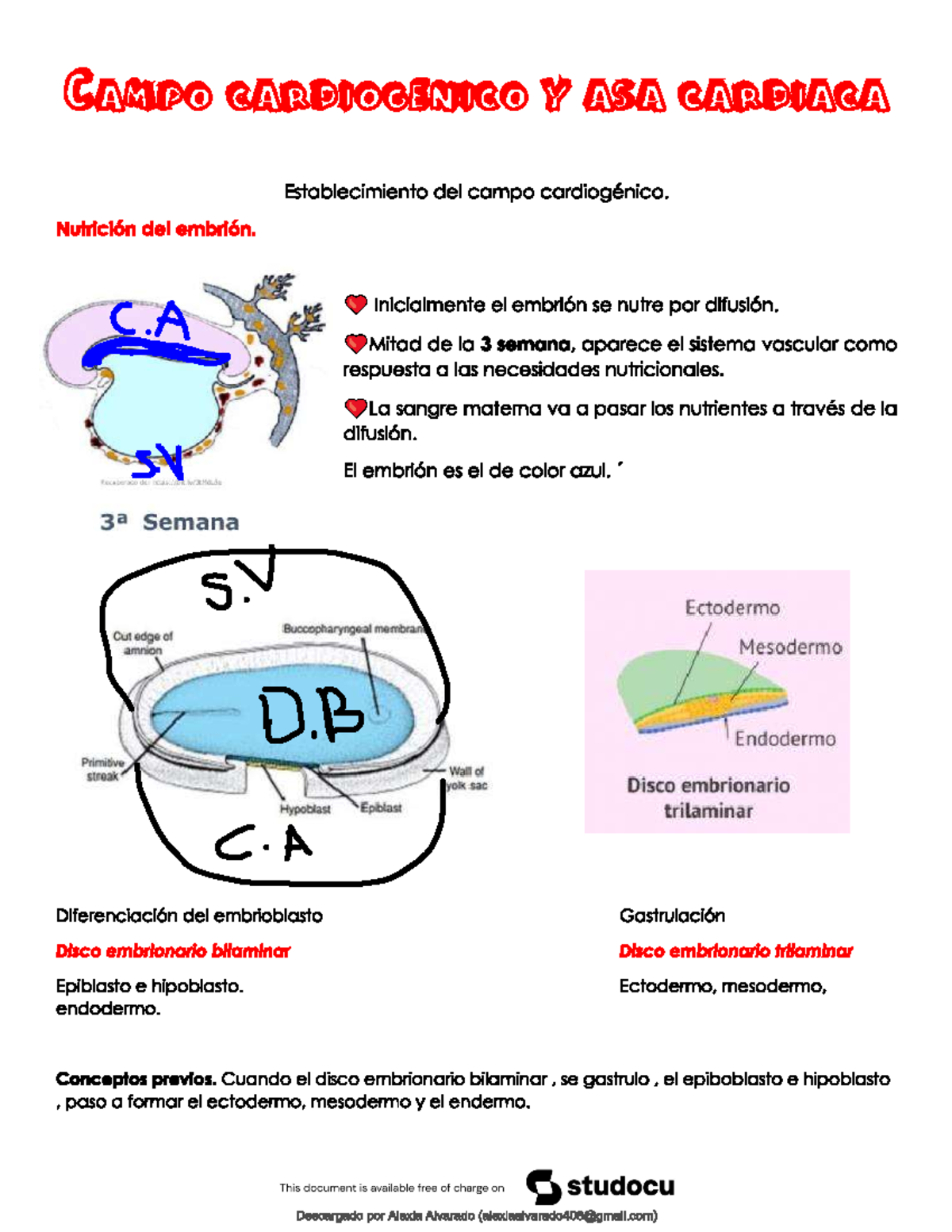Resumen Embrio Corazon - CAMPO CARDIOGENICO Y ASA CARDIACA ...