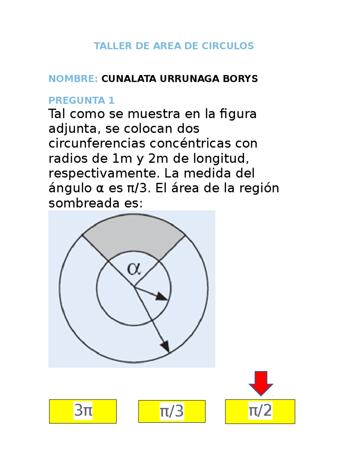 Taller DE AREA Circulos - TALLER DE AREA DE CIRCULOS NOMBRE: CUNALATA ...