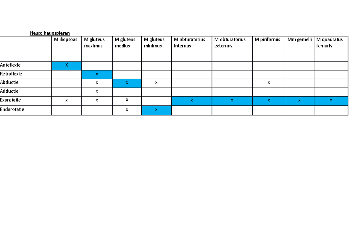 Functies van de spieren - Heup: heupspieren M iliopsoas M gluteus ...