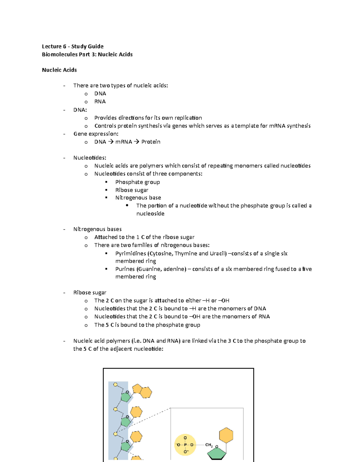 Lecture 6 Study Guide - Lecture 6 Study Guide Biomolecules Part 3 ...