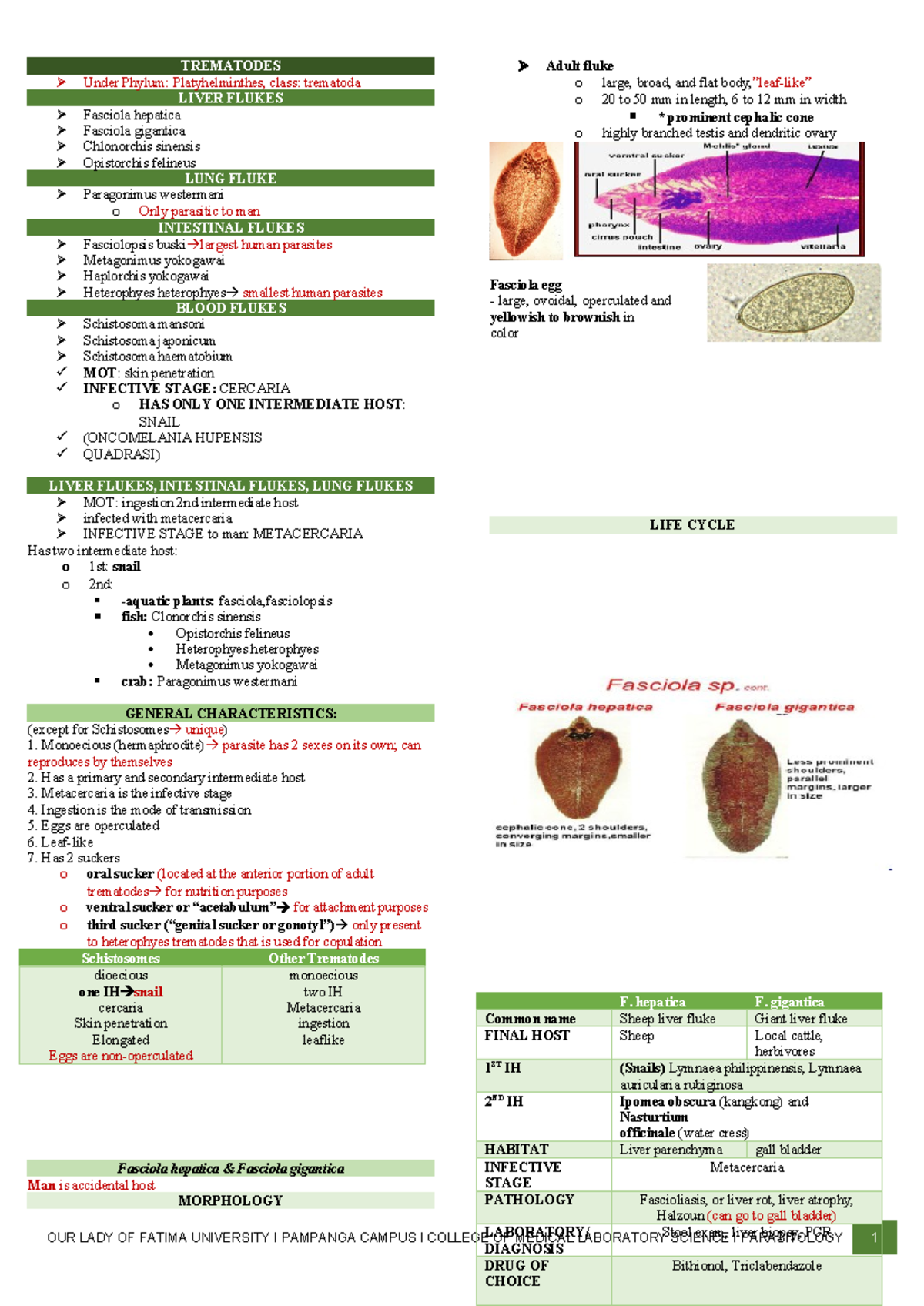 PARA-LEC- Finals - Parasitology - TREMATODES Under Phylum ...