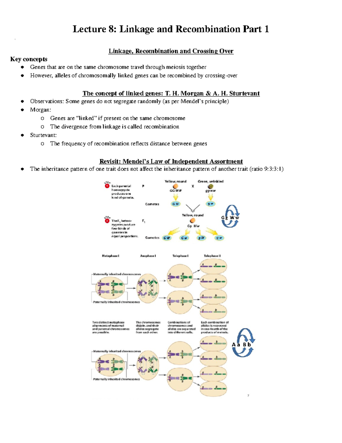 Lecture 8 Linkage and Recombination Part 1 - Lecture 8: Linkage and ...