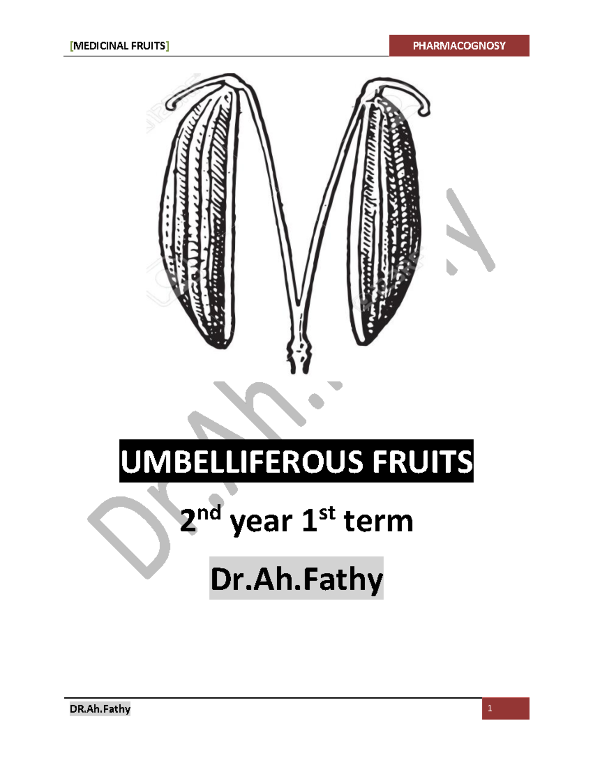 medicinal fruits - UMBELLIFEROUS FRUITS 2 nd year 1 st term Dr.Ah ...